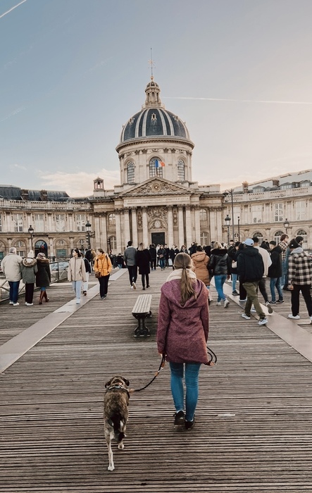Paris with a dog: everything you need to know