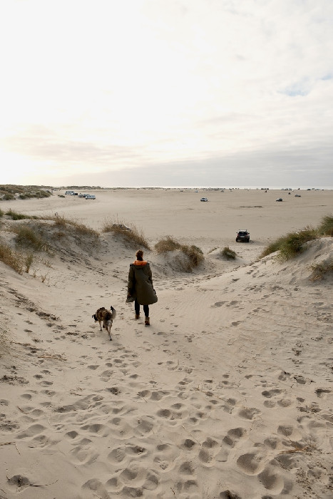 Urlaub Romo Mit Hund